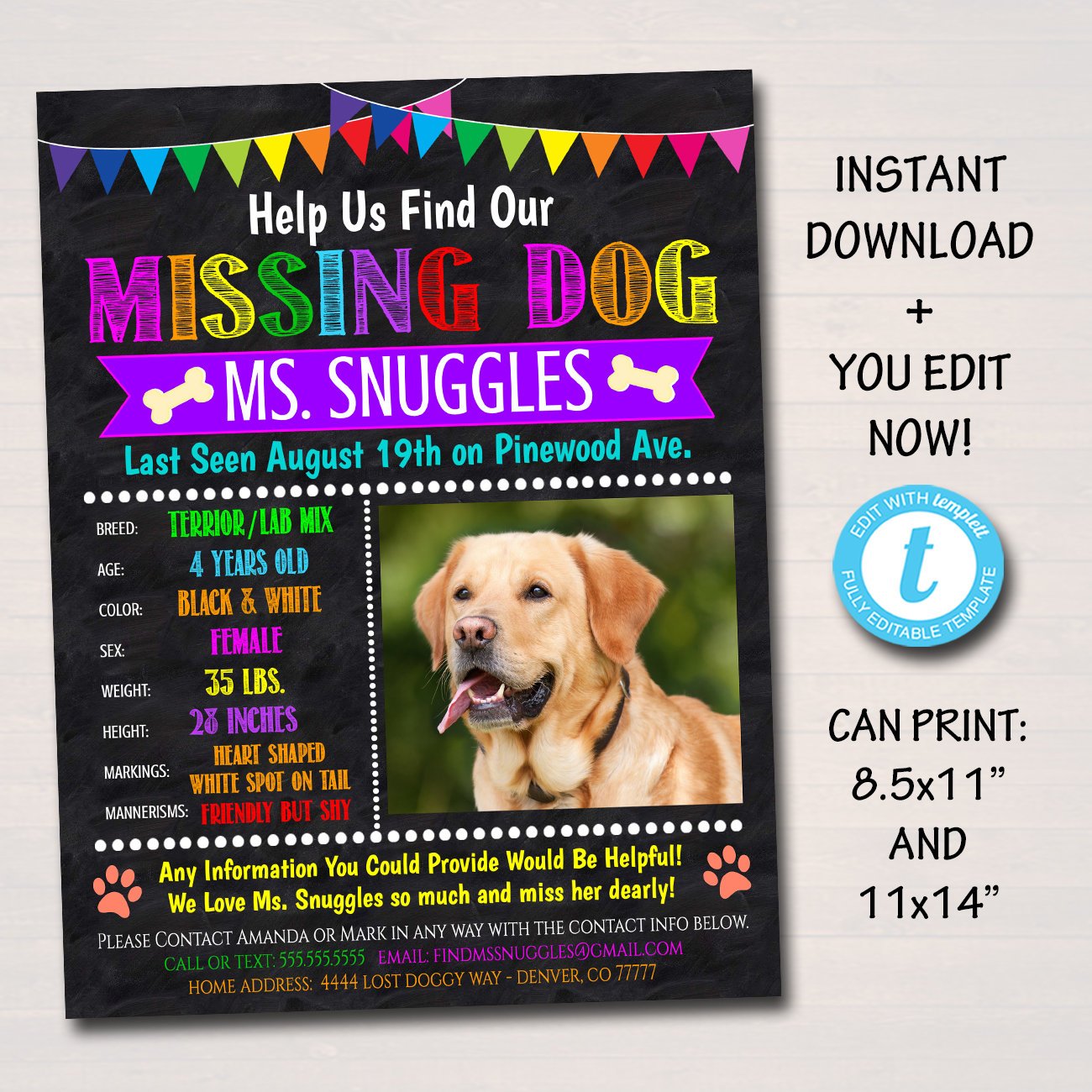 Missing Dog Flyer and Poster Template - Editable Template - Templett Shop