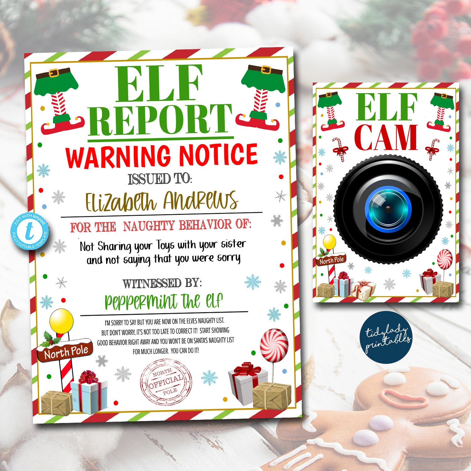 Elf Warning Notice and Elf Cam Printable - Templett Shop