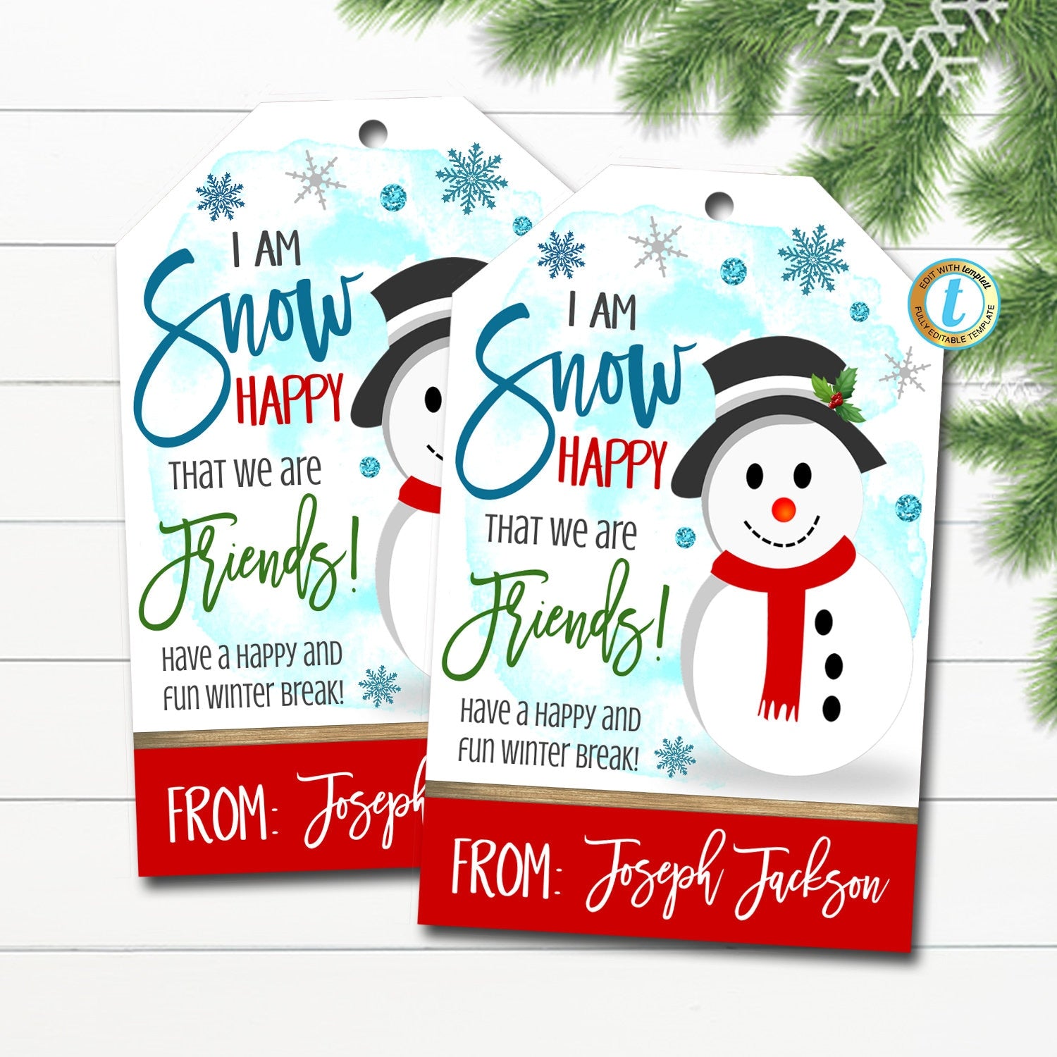 I am SNOW happy we're friends - Templett Shop