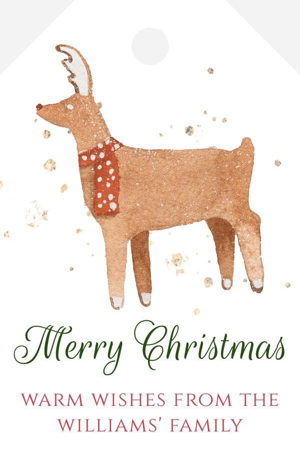 Warm Wishes Gift Tag Template Set of 3, Christmas Gift Tag, Holiday ...